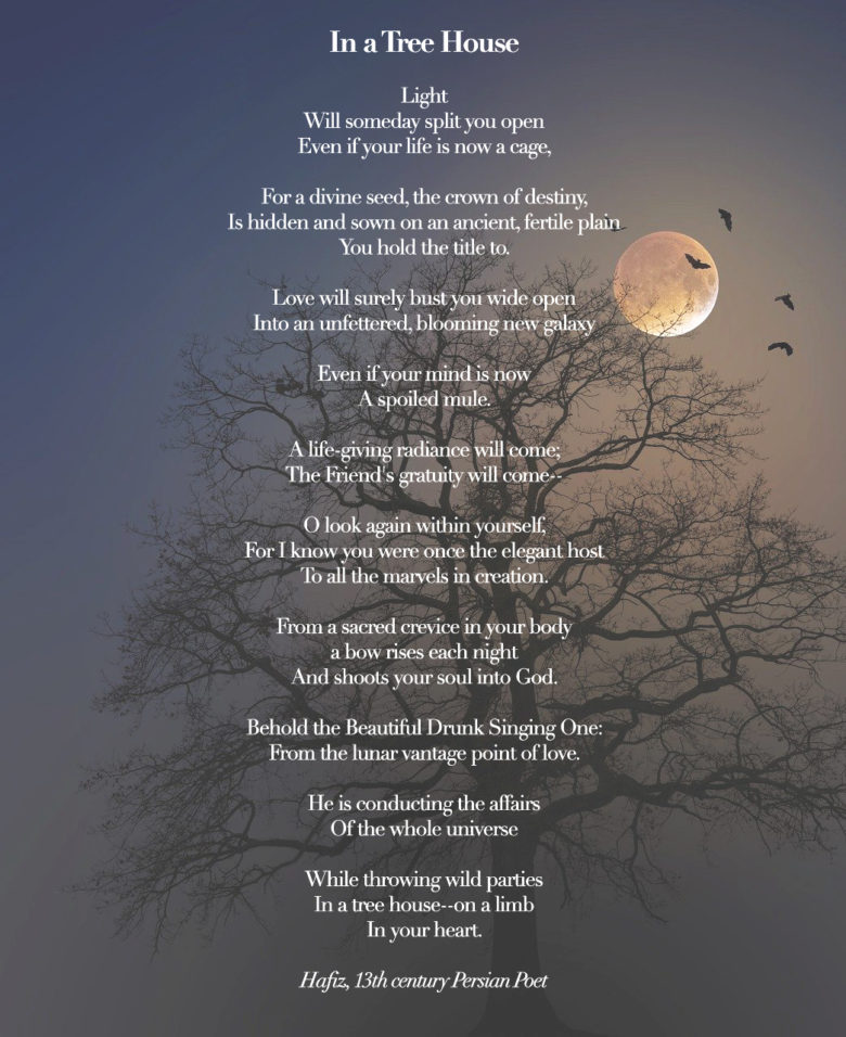 In A Tree House | Nicki Gordon Energy Healing